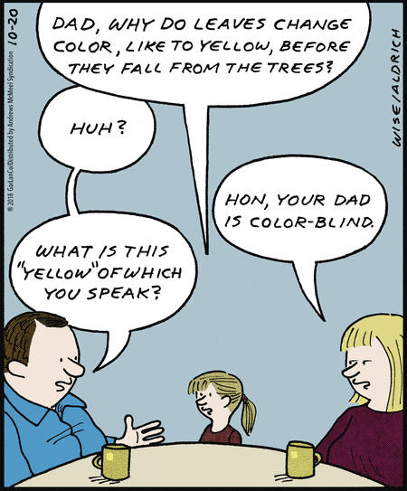 I can’t see it | Comics I Don't Understand