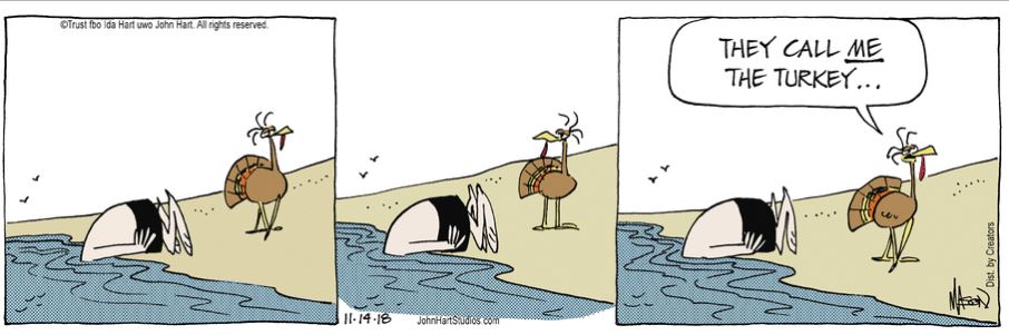 Turkey | Comics I Don't Understand
