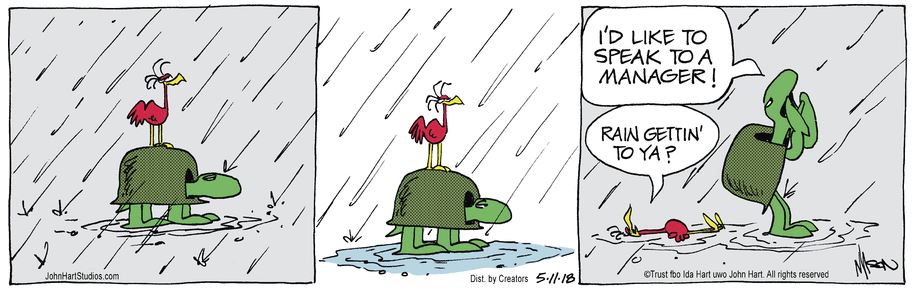 Rain | Comics I Don't Understand