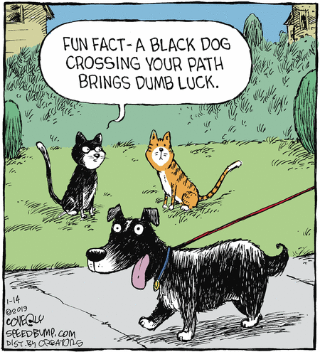 Speed Dog | Comics I Don't Understand