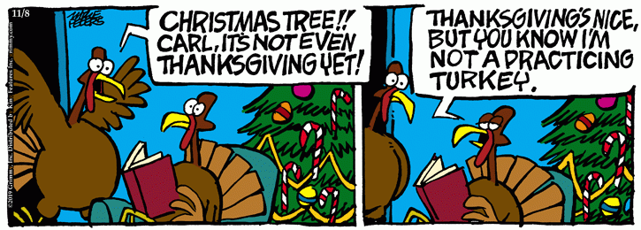 Practicing Turkey | Comics I Don't Understand