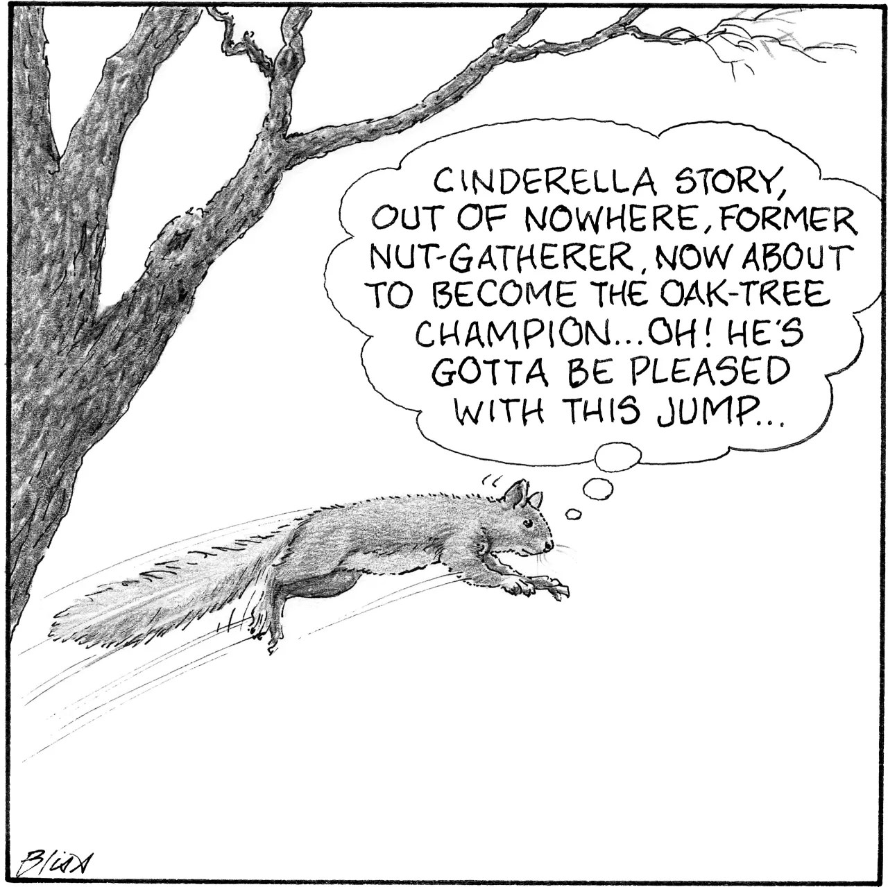 Squirrel, squirrel! | Comics I Don't Understand