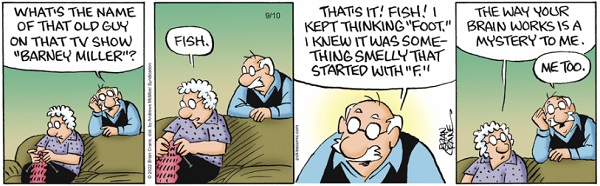 Go fish | Comics I Don't Understand