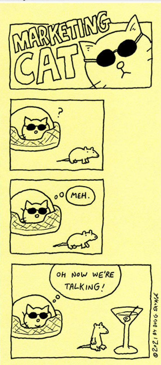 Marketing Cat | Comics I Don't Understand